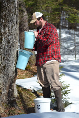 My maple brothers and sister | News, Sports, Jobs - Daily Press